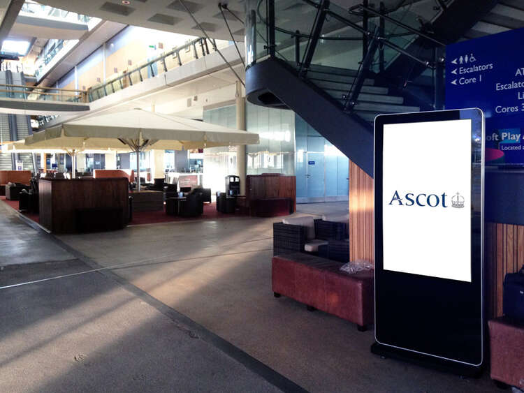 Sustainable Signage for Your Business | Aura