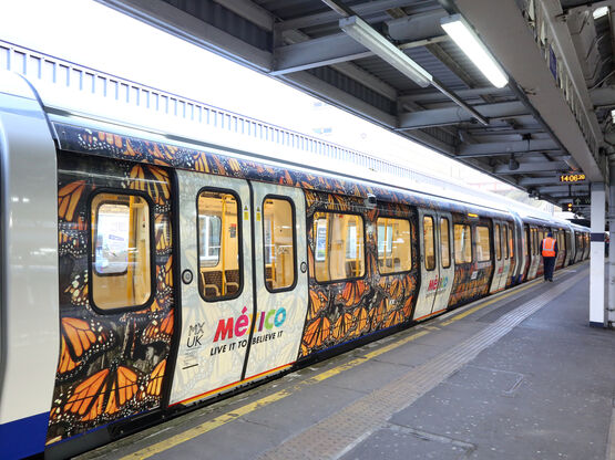 Rail livery, train graphics, wraps & labels for inside & out | Aura