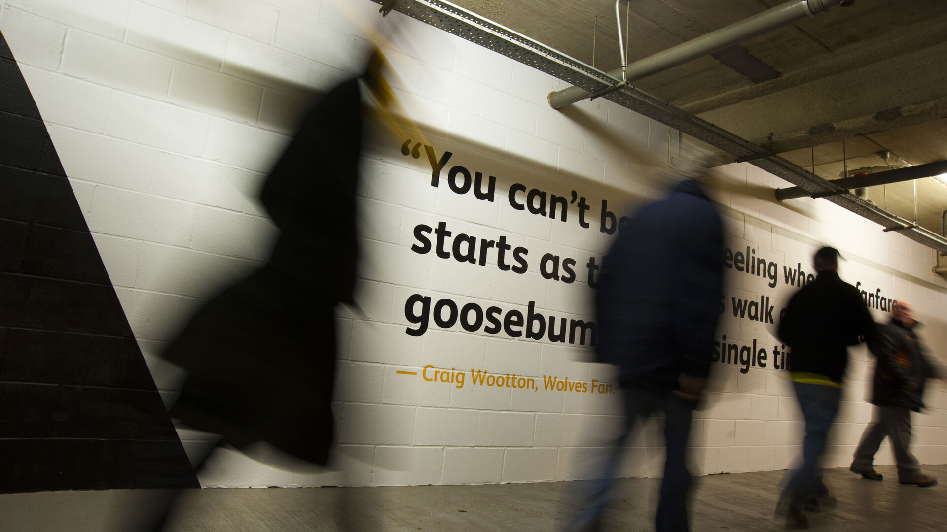 Printed interior wall graphics for Wolves football stadium | Aura